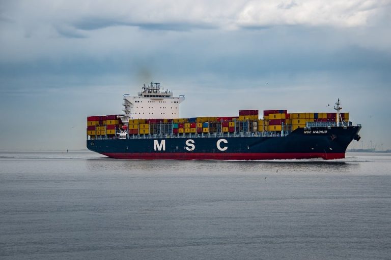 MSC Achieves Record 20% Market Share of Global Containership Capacity ...